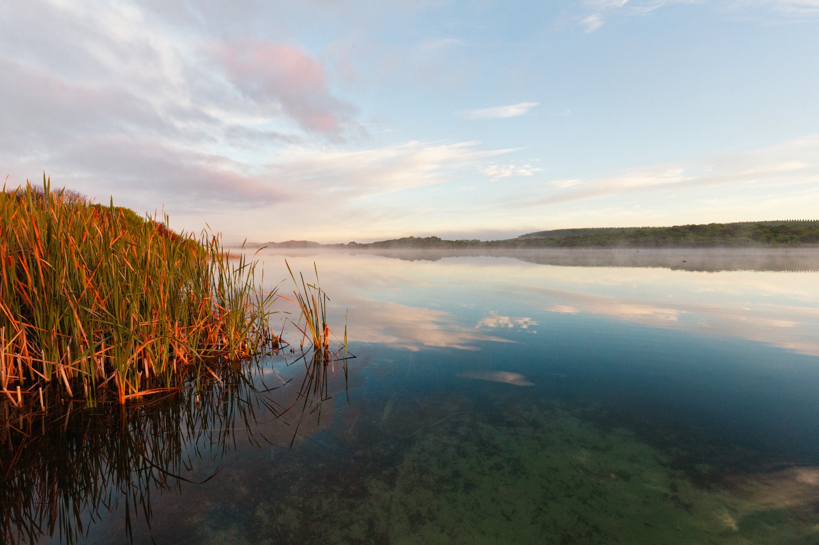 Every drop counts photo competition winners! - Wannon Water